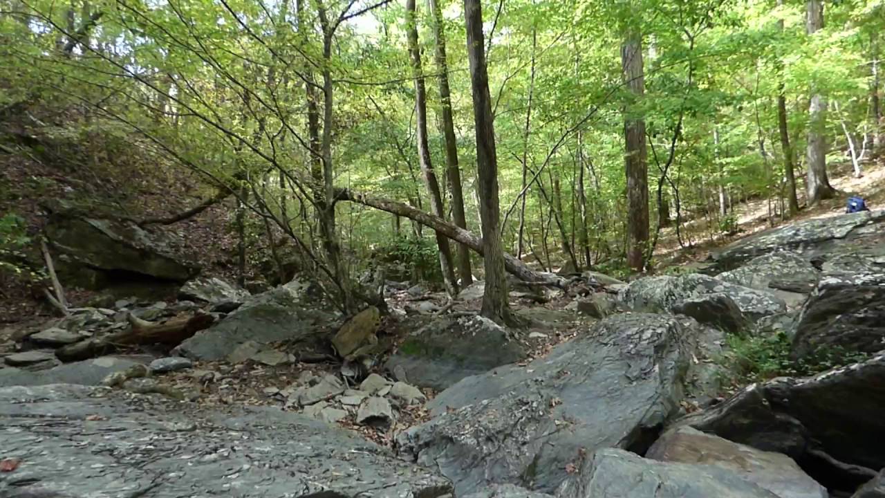 Alabama Bigfoot the creature of Wildman Falls - YouTube