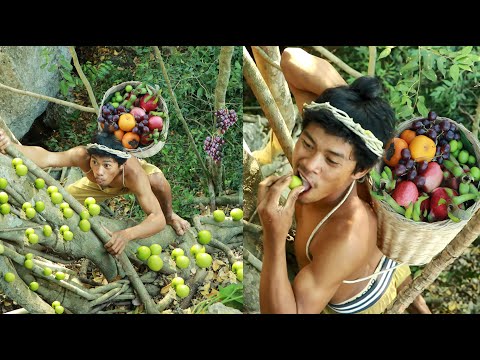 Rich fruits at up the hill - He ate sick fruit, apparently delicious