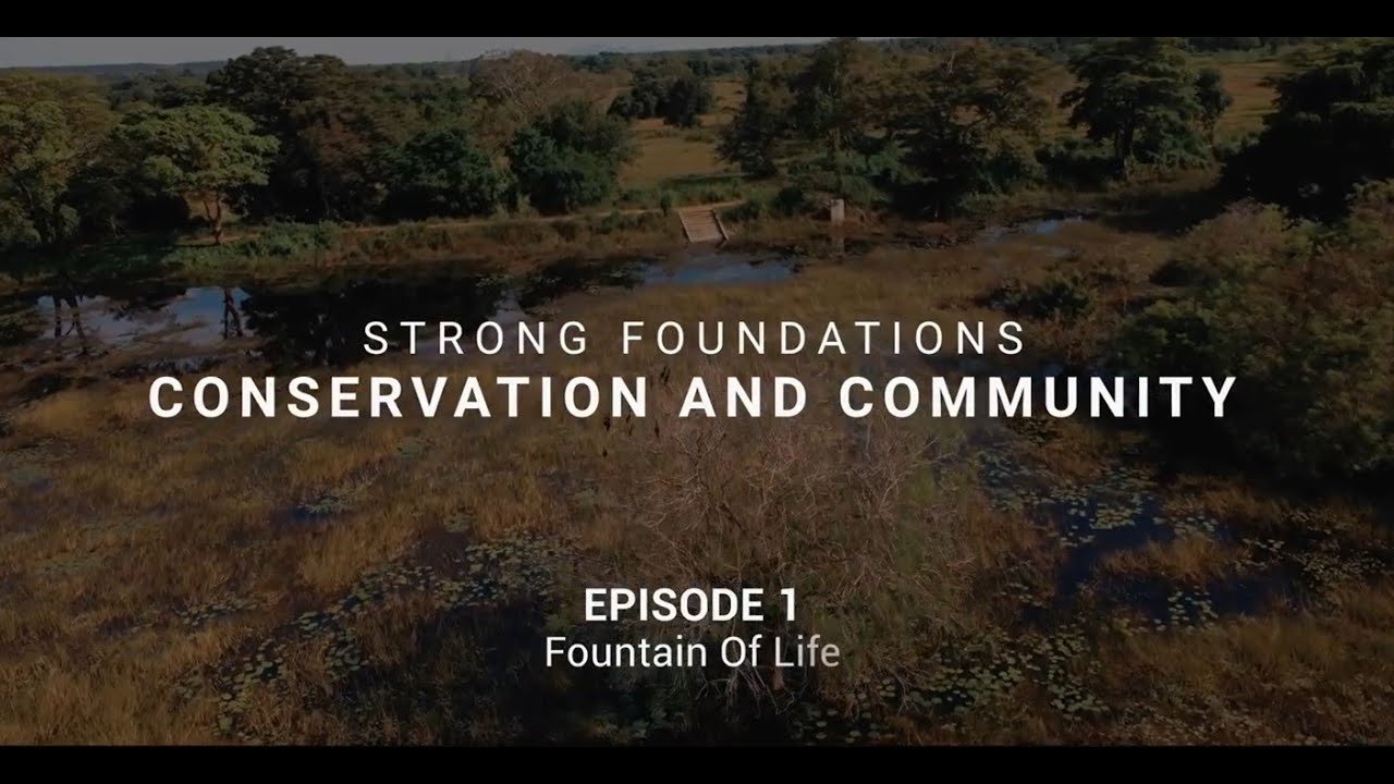 STRONG FOUNDATIONS - පළමු කොටස: ජීවන නදියට දිය දහරක් - YouTube