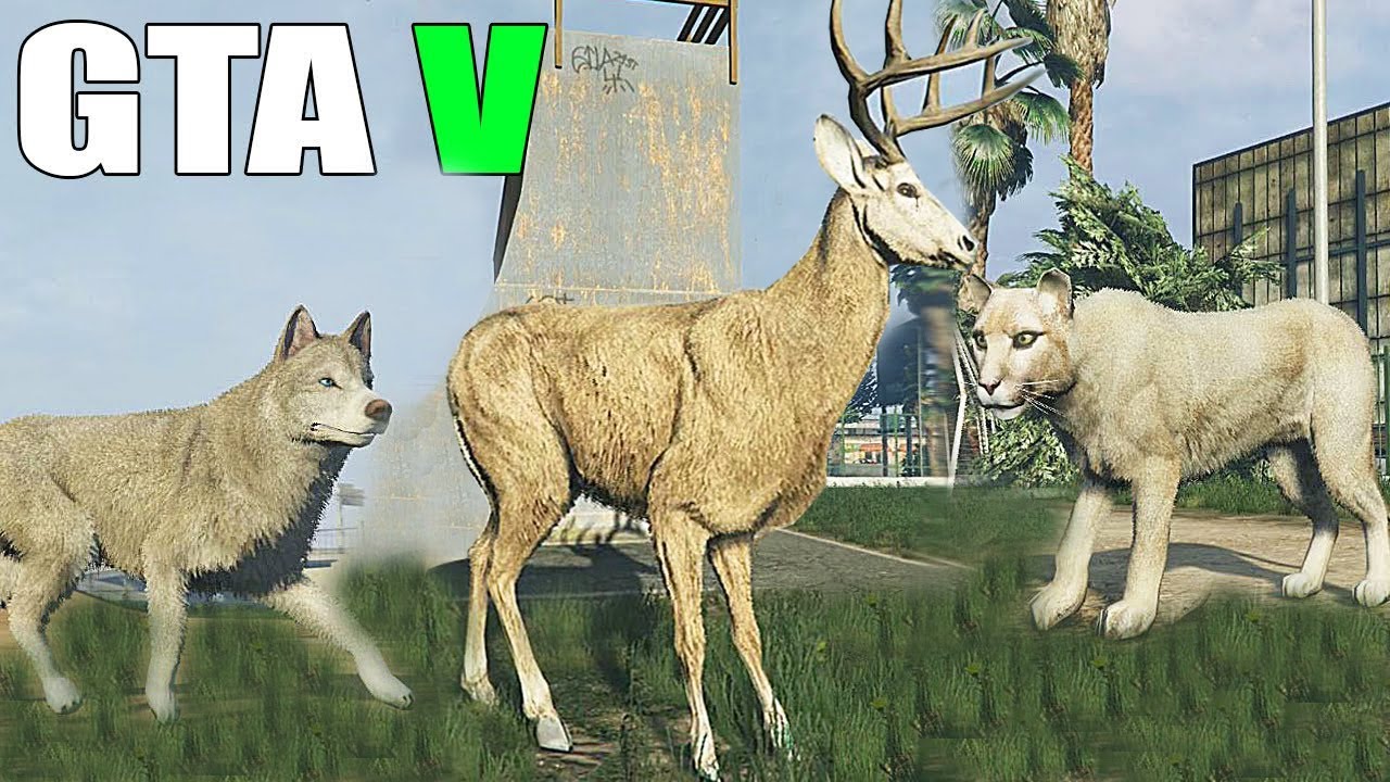 Grand Theft Auto 5 Animais