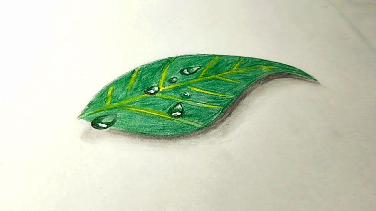 How to draw 3d leaf with pencil.How to draw realistic leaf easily.#leaf ...