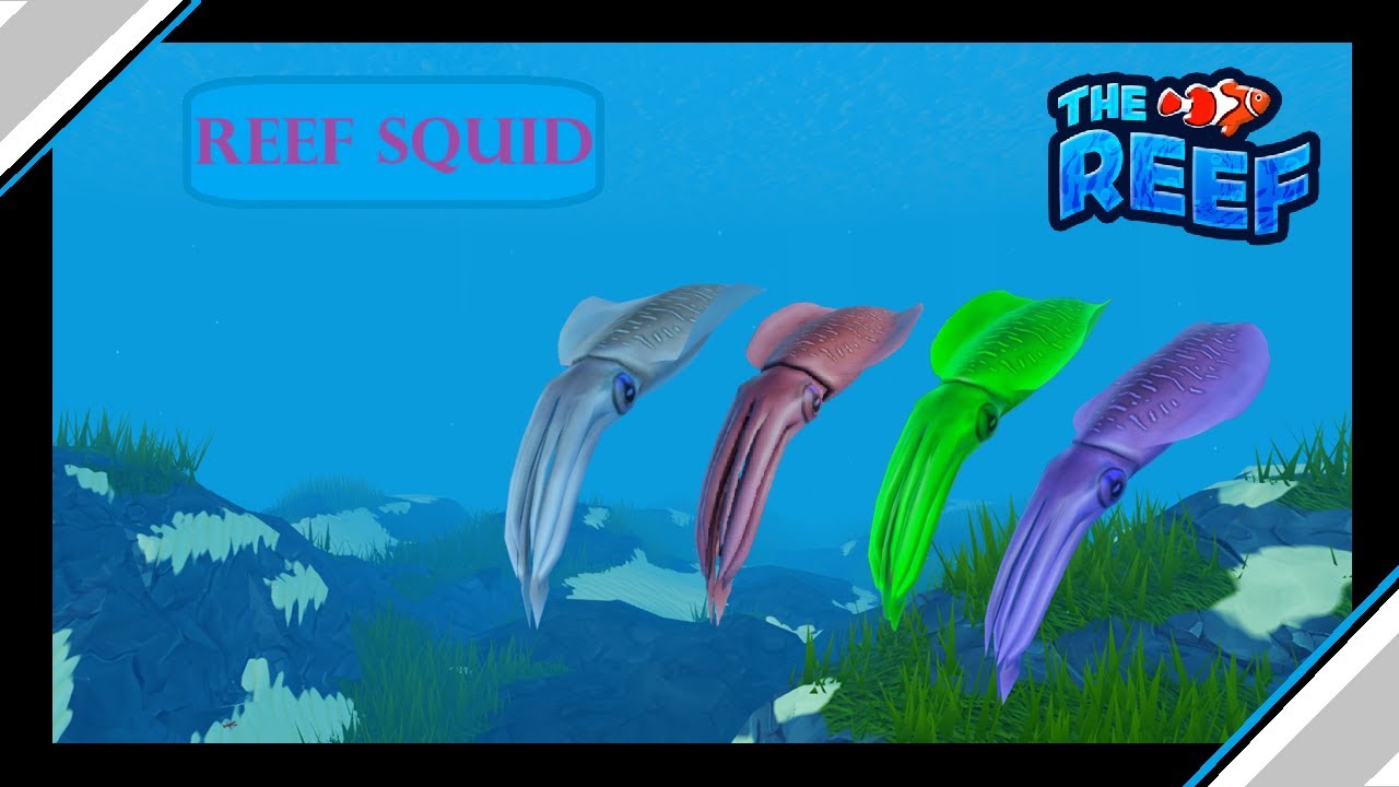 Bigfin Reef Squid! | The Reef (roblox) - YouTube