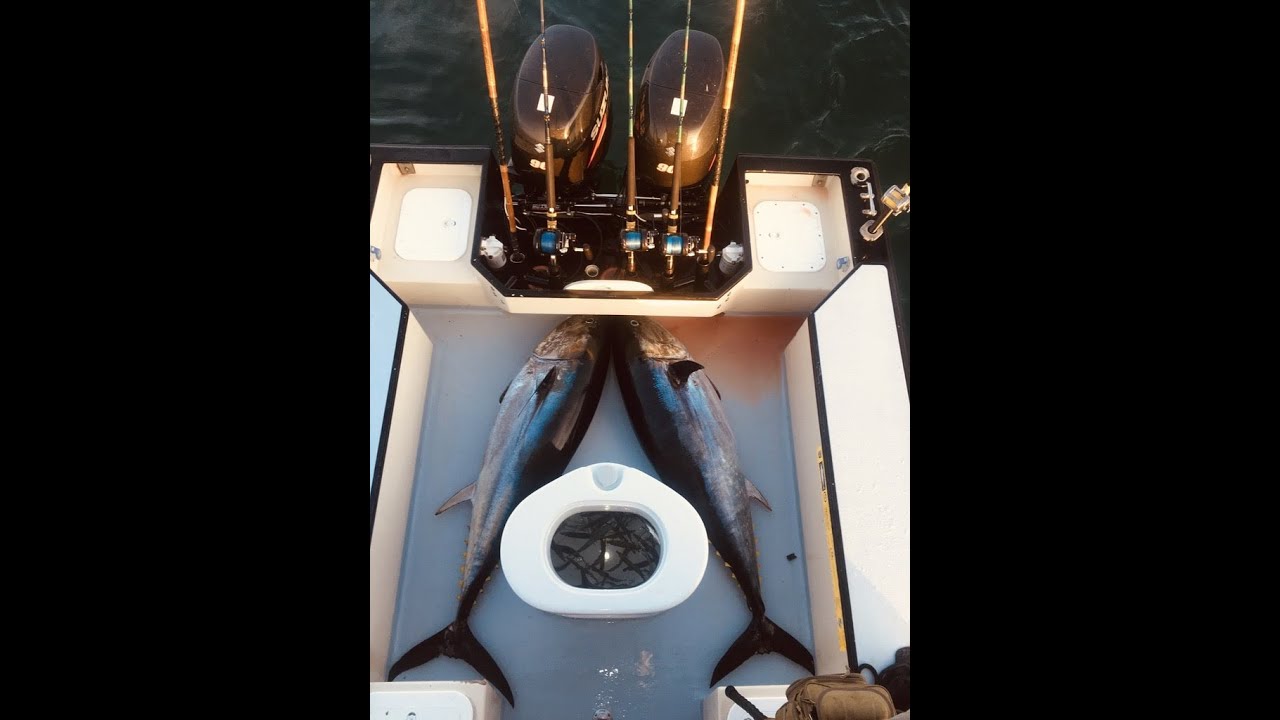 tanner bank bluefin1 - YouTube