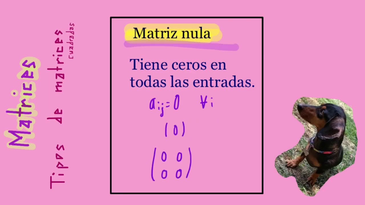 Matrices cuadradas y tipos de matrices - YouTube