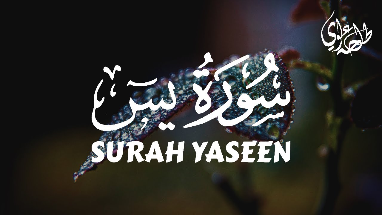 Surah Yasin Yaseen Full Talha Alvi سورة يس طلحة علوي