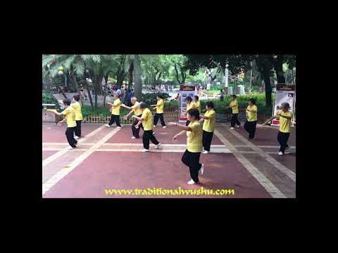 Yang Style Tai Chi 13 Movement Beginner Form 2 - YouTube