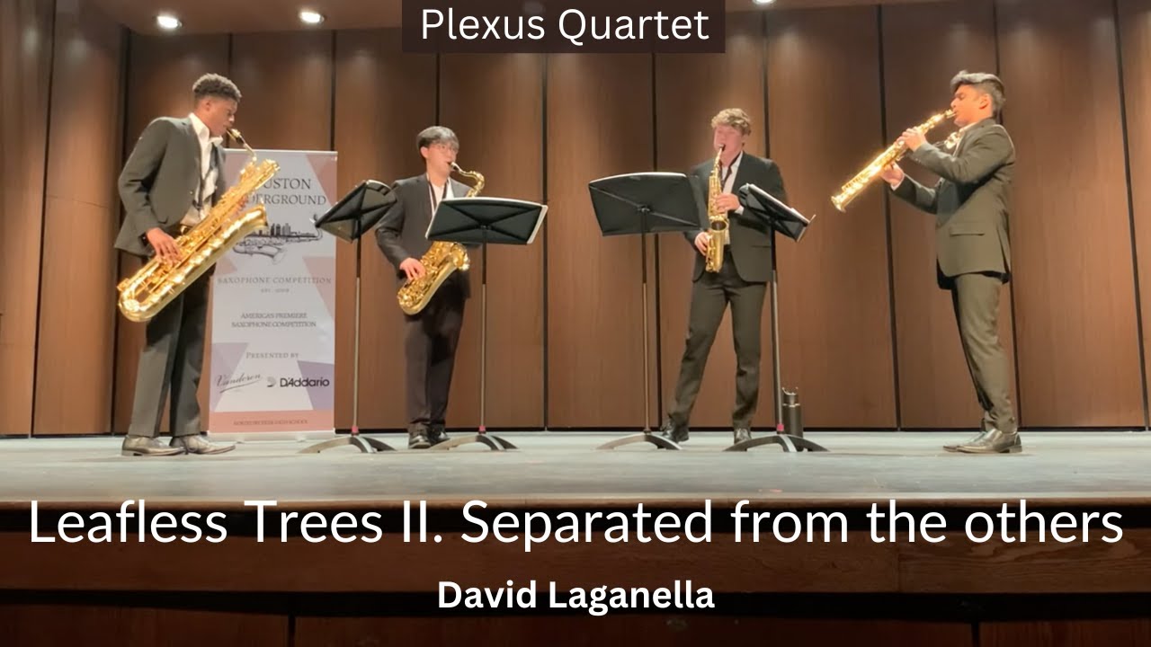 Leafless Trees II. Separated from the others by Laganella | Plexus ...