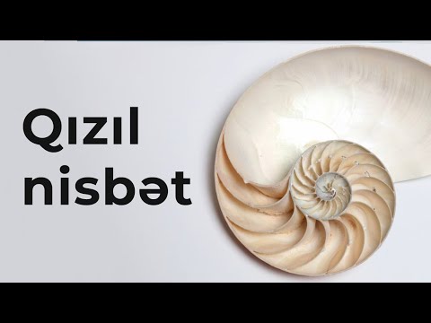 Qızıl nisbət