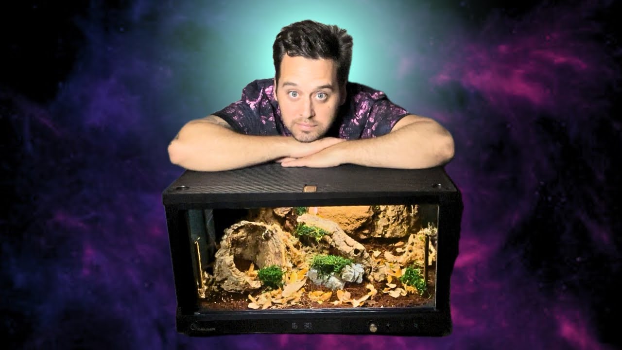 How to Make a VIVARIUM BACKGROUND!!! (DIY) - YouTube
