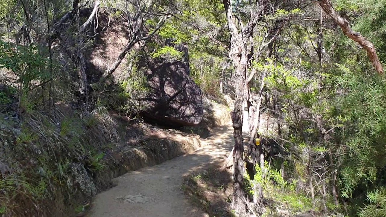 Walking between Tonga Quarry and Medlands beach in Abel Tasman National ...