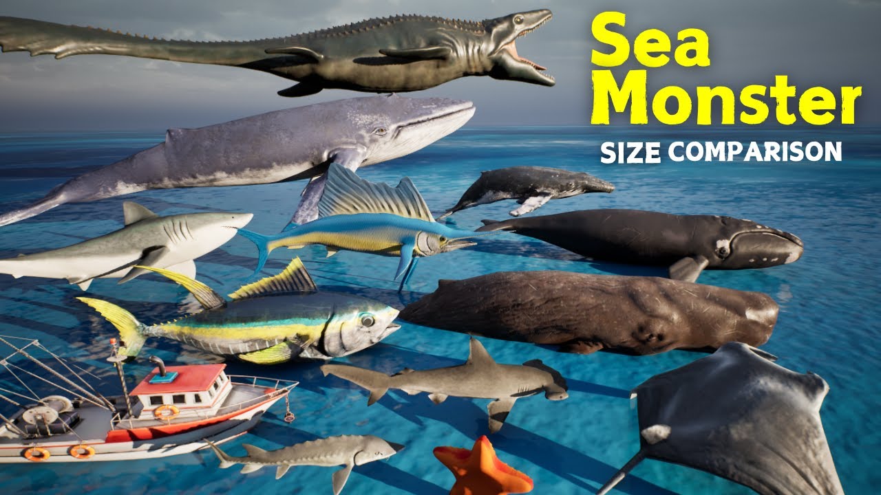 "Biggest Sea Monsters Ever: Ultimate SIZE Comparison of Sea Monsters 3D ...