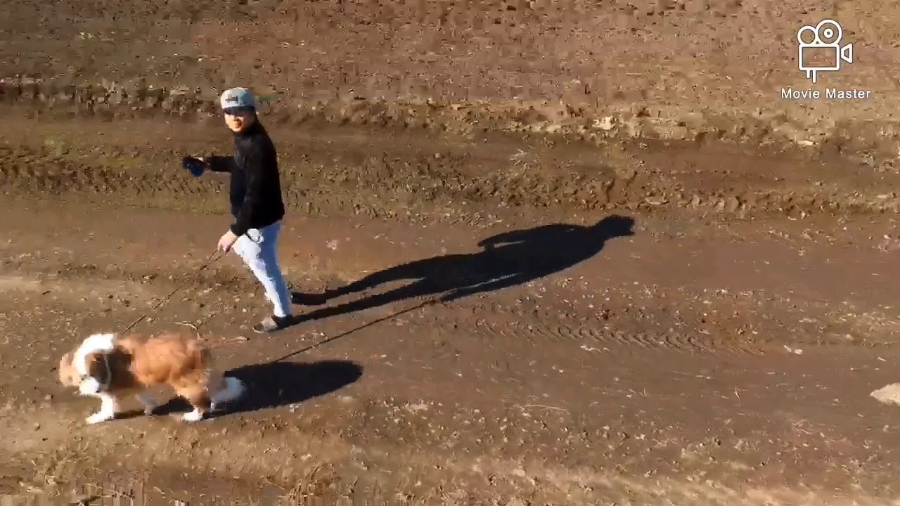 For the views🤘🏻 - YouTube