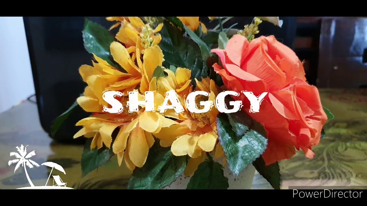 IN THE SUMMERTIME - Shaggy | Zumba Fitness | ZIN 44 | ZIN Arnel - YouTube