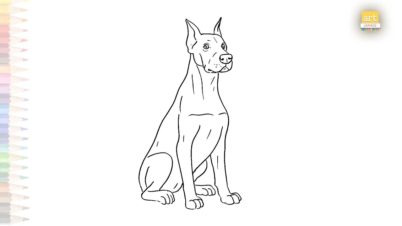 Dobermann drawings | Animal easy sketches | How to draw A Dobermann DOG ...