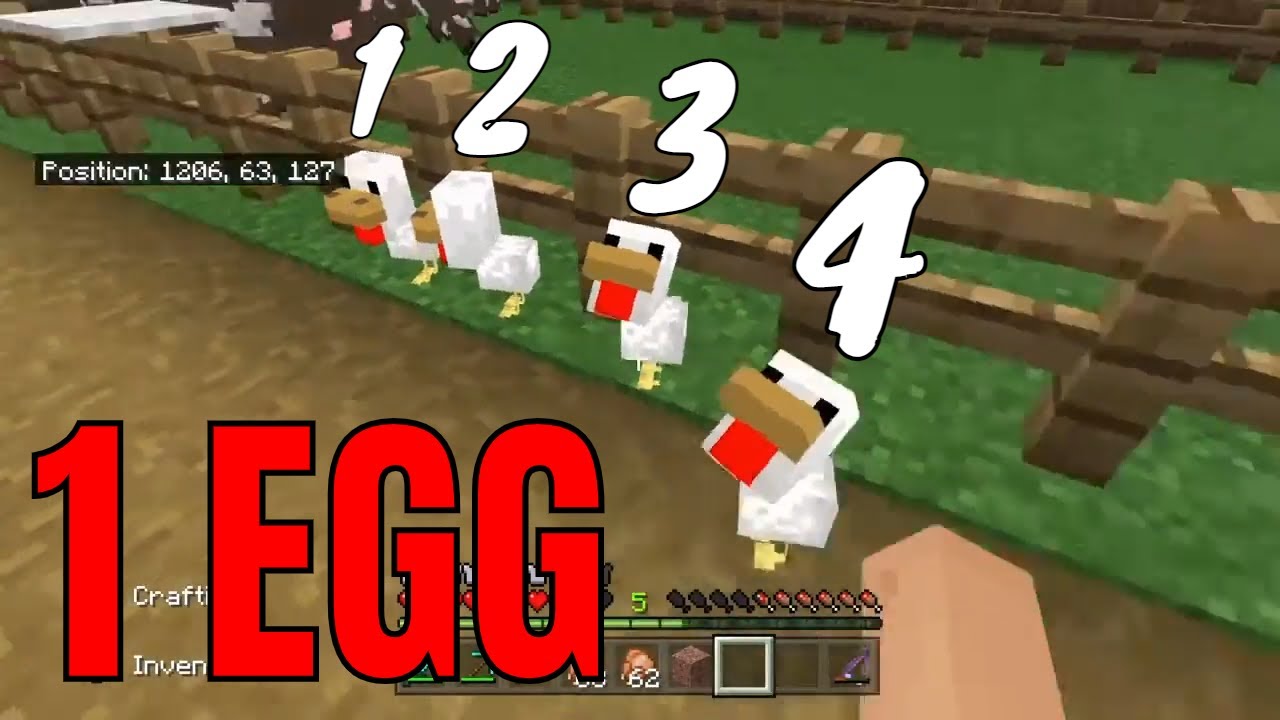 I got 4 chickens from 1 egg in Minecraft - YouTube