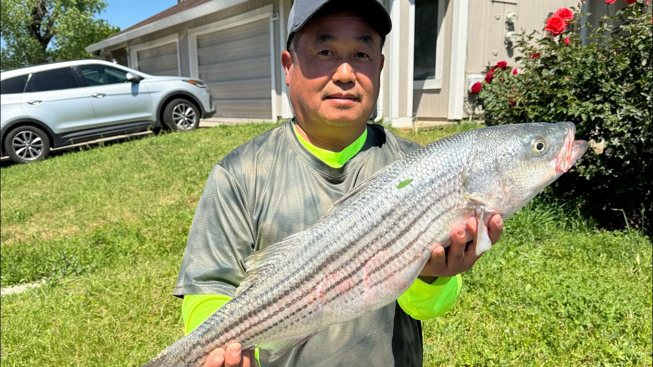 Stripers fishing sac river - YouTube