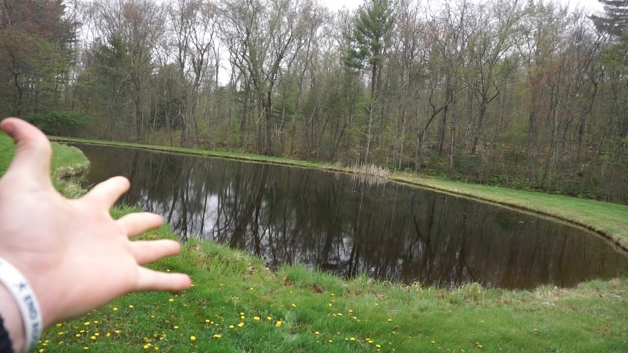 Worlds SMALLEST Pond?! ~ Is There Fish In It??? Lets Find Out - YouTube