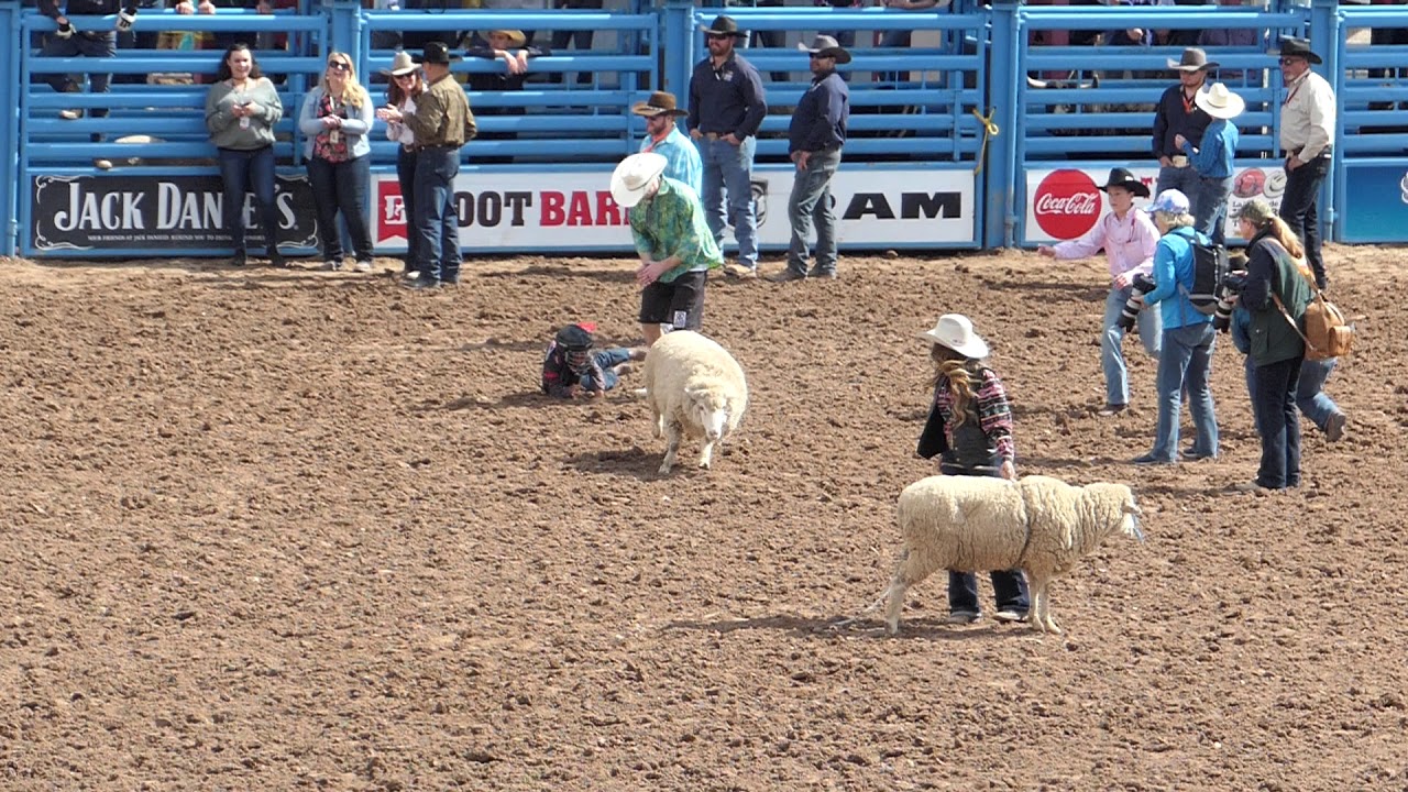 Mutton Busting 4 Tucson Rodeo - YouTube