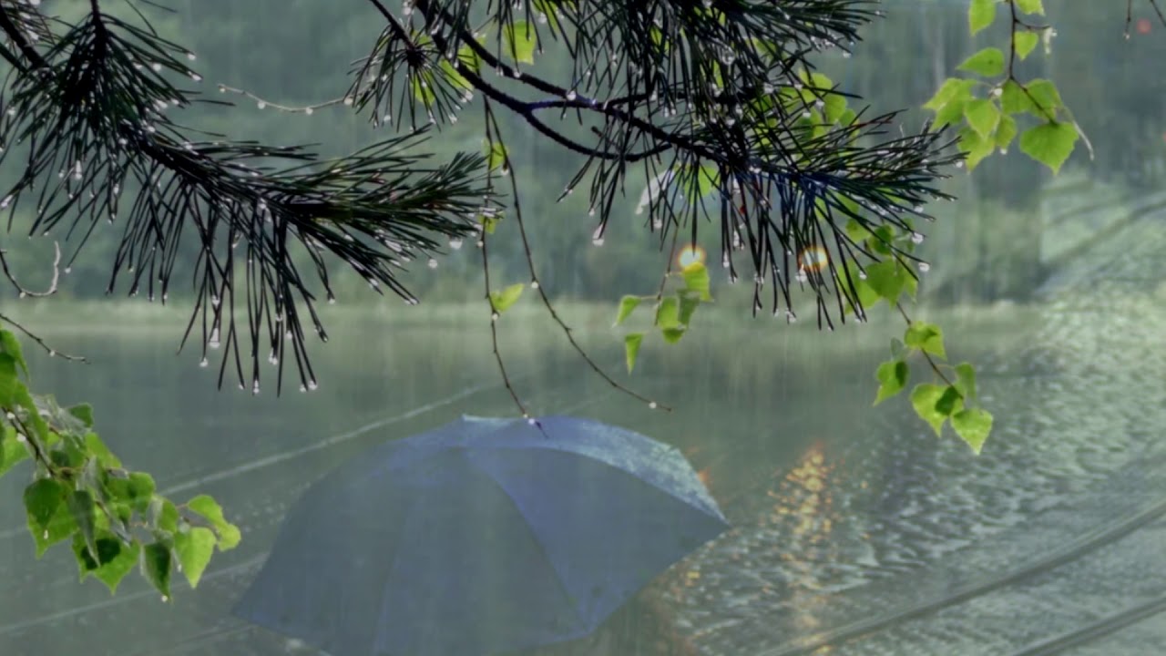 Beautiful piano music and soft rain for complete relaxation - YouTube