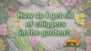 How do I get rid of chiggers in the garden?