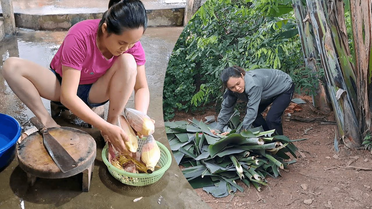 Banana flowers make delicious food for people, banana leaves make food ...