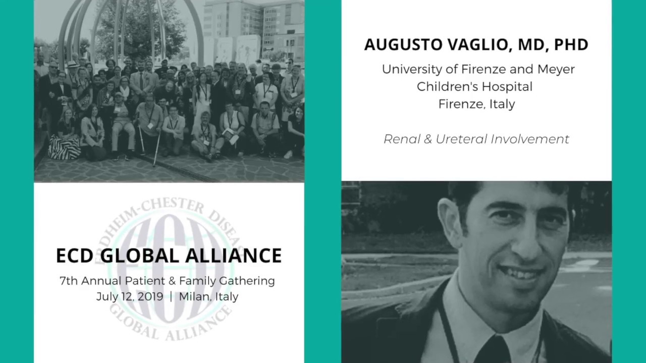2019 - PFG - Renal & Ureteral Involvement in ECD - Augusto Vaglio - YouTube