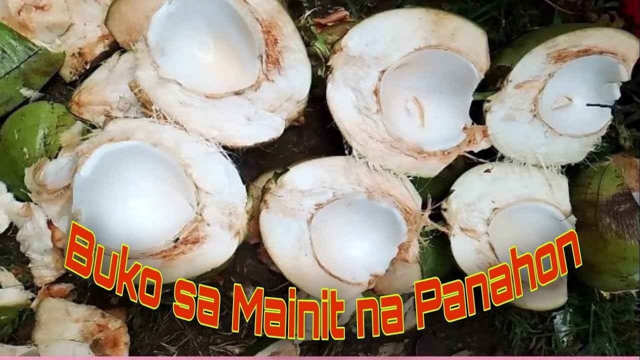 Buko Para sa Mainit na Panahon simpling salad para sa mga batang yagit ...