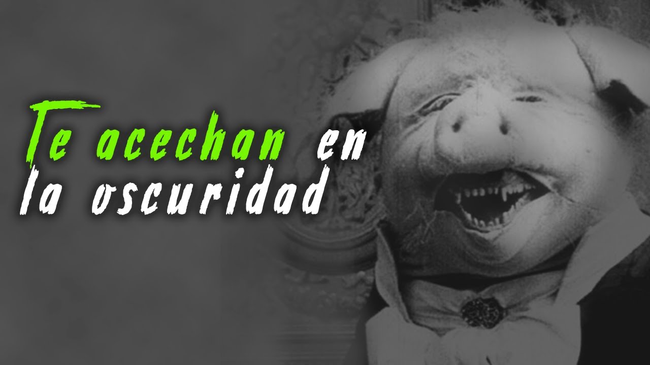 CERDOS EN LA NOCHE (historia de terror) | Gritos en la noche - YouTube