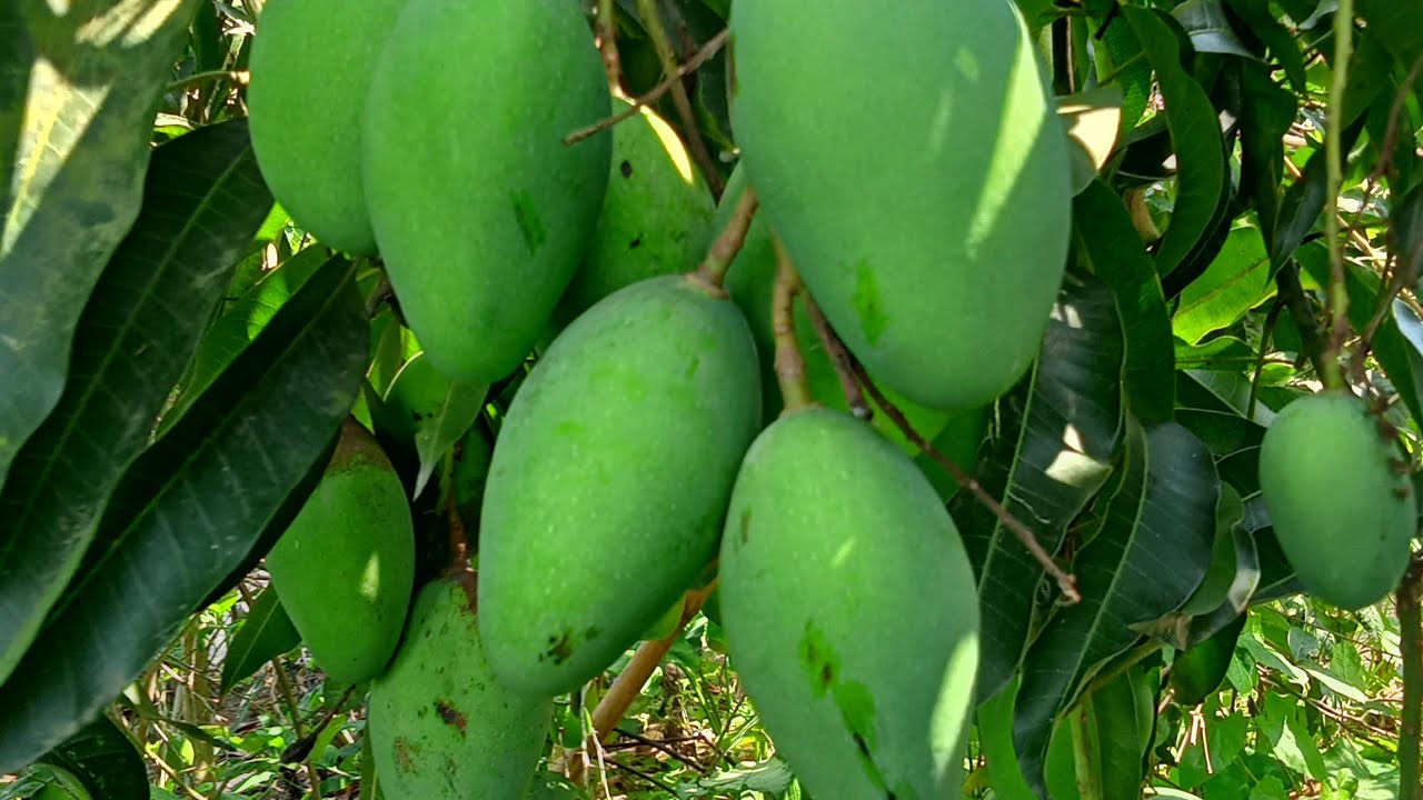 Mela May dukan new blog 🚣💥 - YouTube