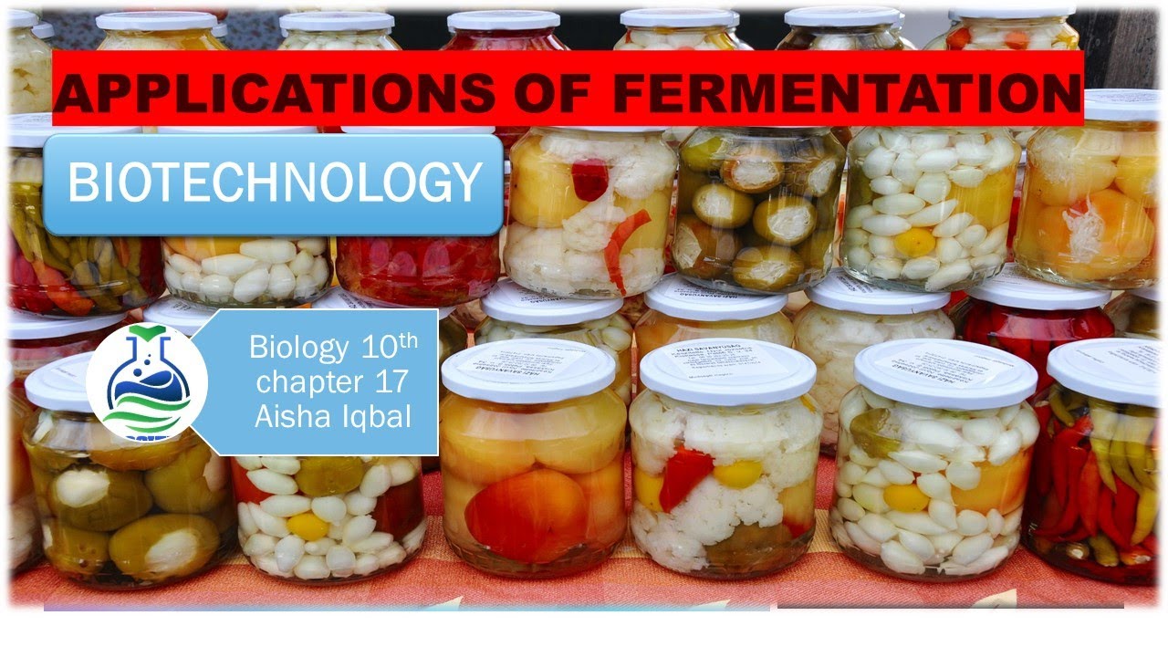 Application of fermentation | Biotechnology - YouTube
