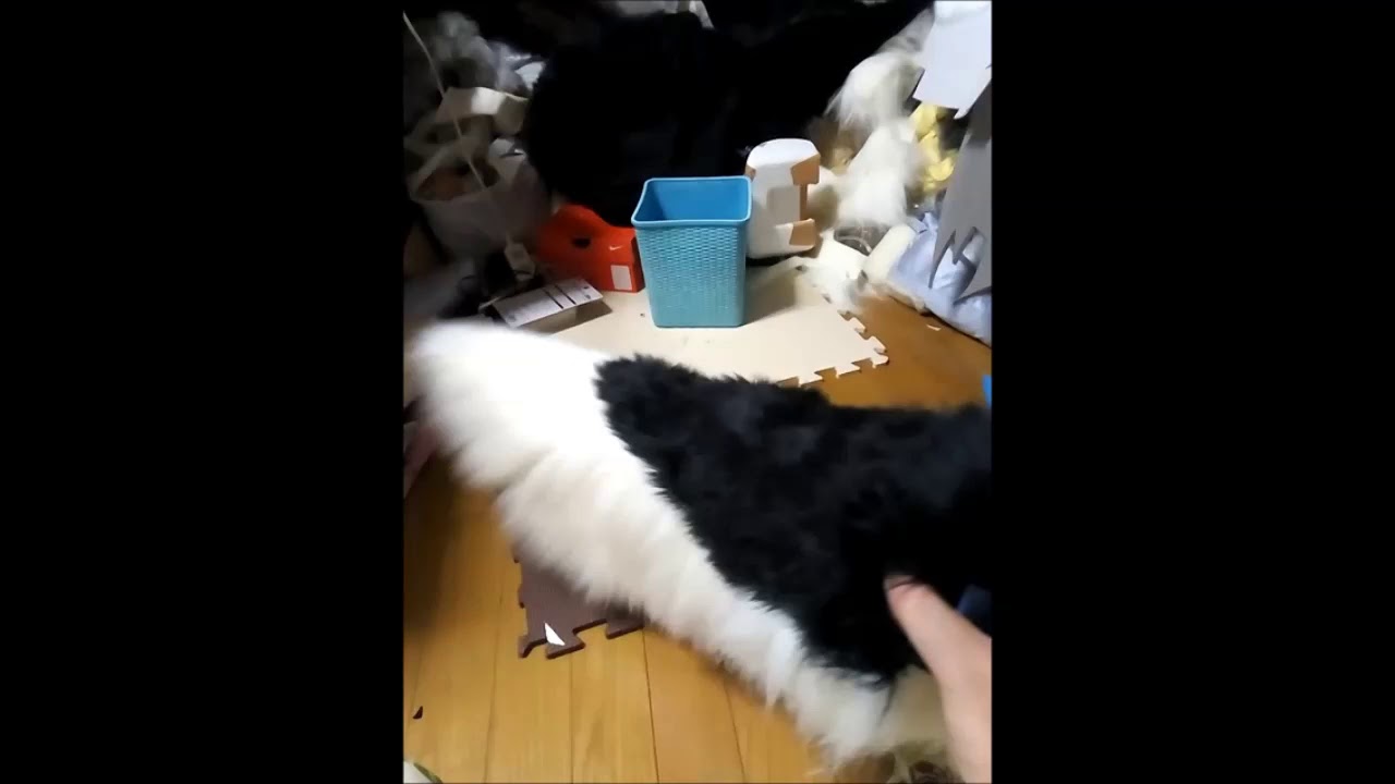 Tail test 02 - YouTube