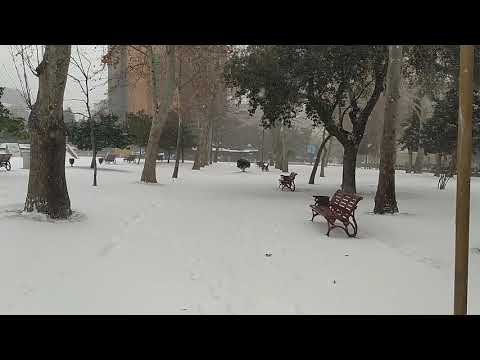 Bakıya qar yağdı 24.02.2021 Sizdə bugün gördüyünüzü yazın görək Bakı qara hazır idi?