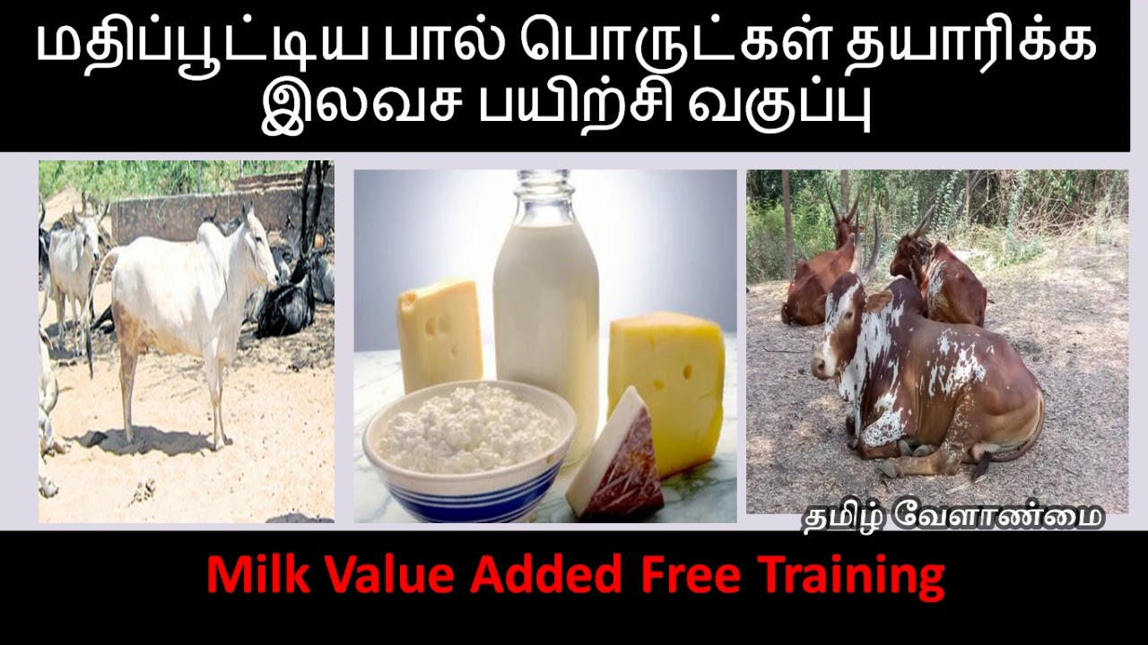 Milk Product Value Added free Training in Tamilnadu - YouTube