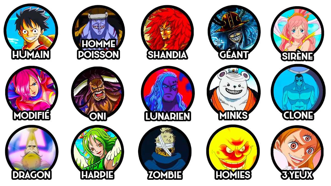 Toutes Les Races De One Piece Expliqué En 24 Minutes - YouTube