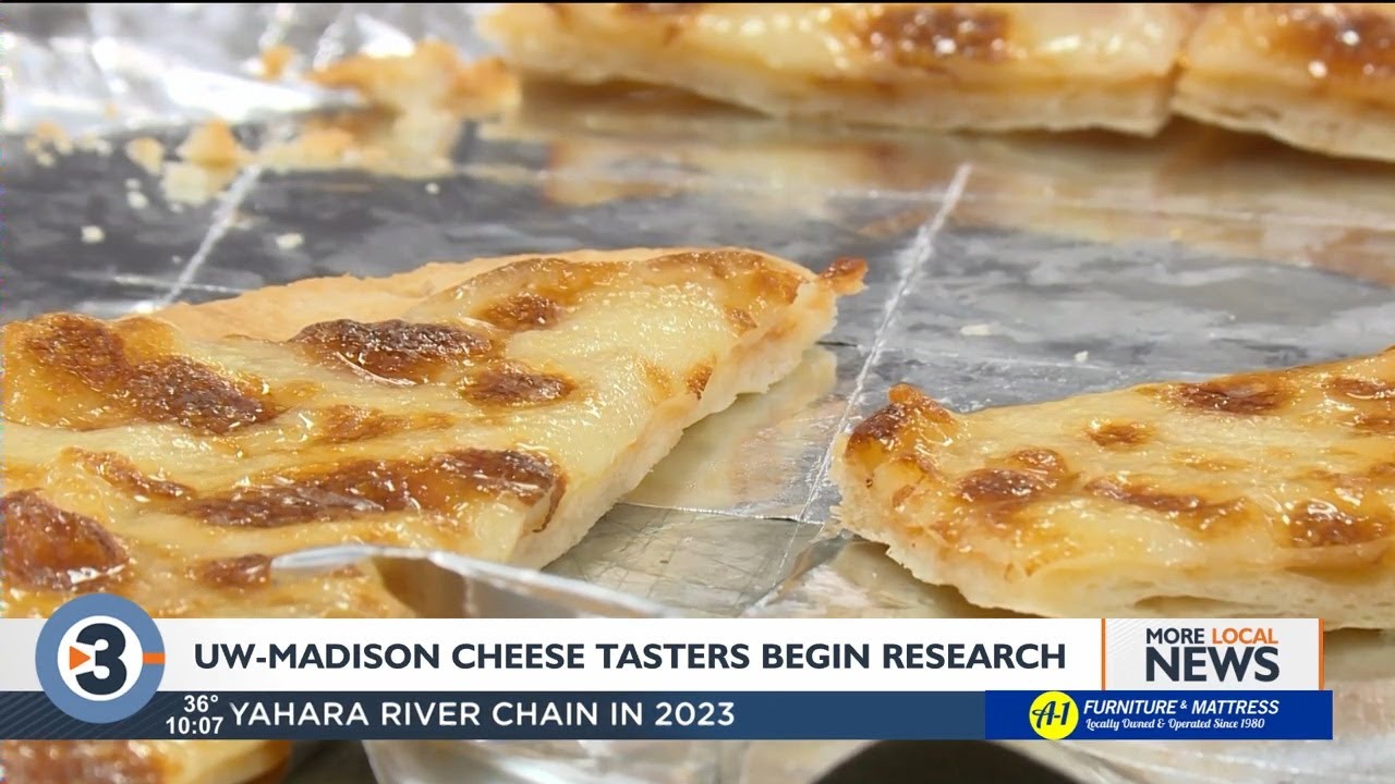 UW-Madison hired professional cheese tasters: Here's how their research ...