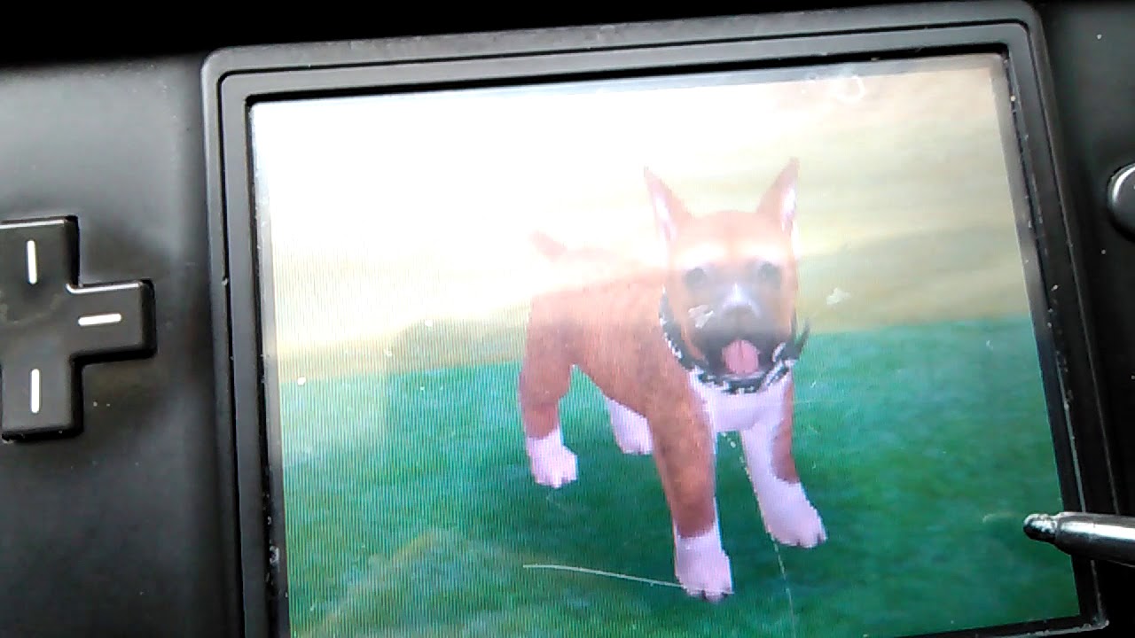 Playing on my old Nintendo: Nintendo dogs. - YouTube