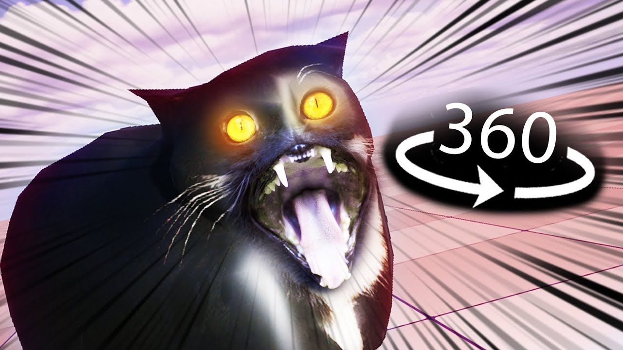 360° Maxwell The Cat ATTACKS YOU! - YouTube