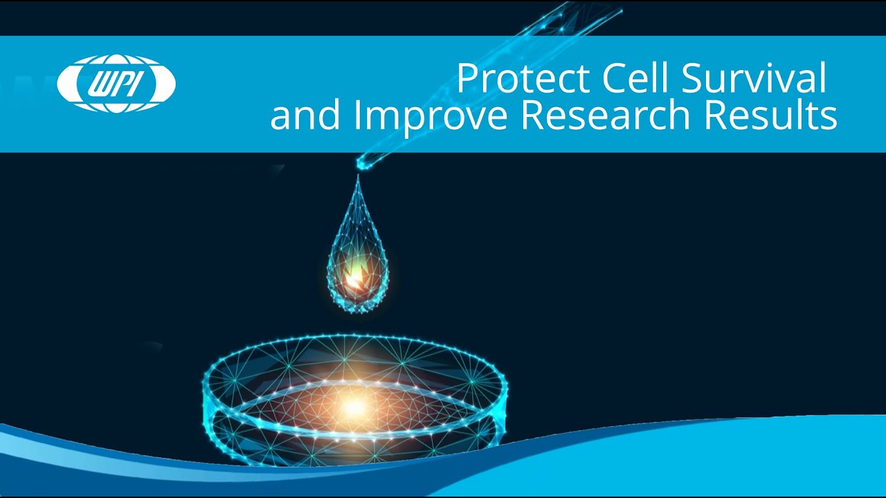 Protect Cell Survival and Improve Research Results with WPI ...