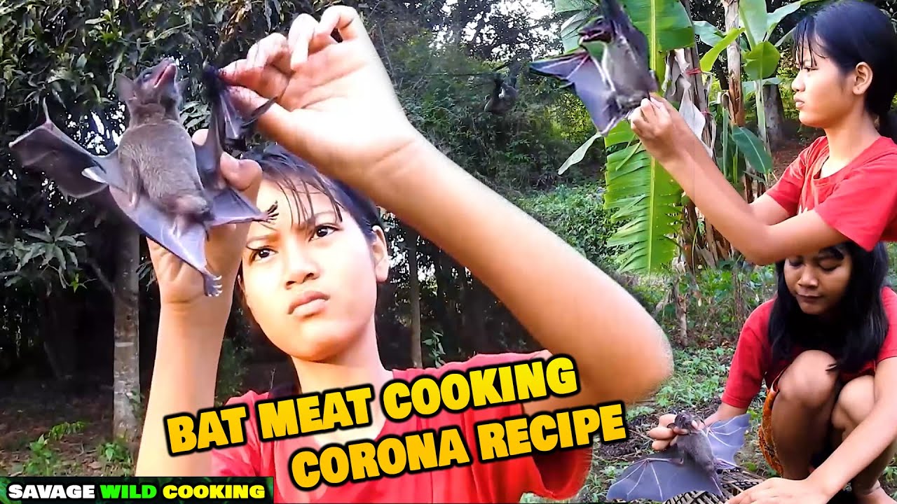 Interesting Bats Trap and Cooking in the Forest - Savage Wild Cooking ...