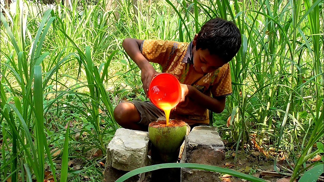 Primitive technology cooking .Egg in green coconut .cooking by a ...