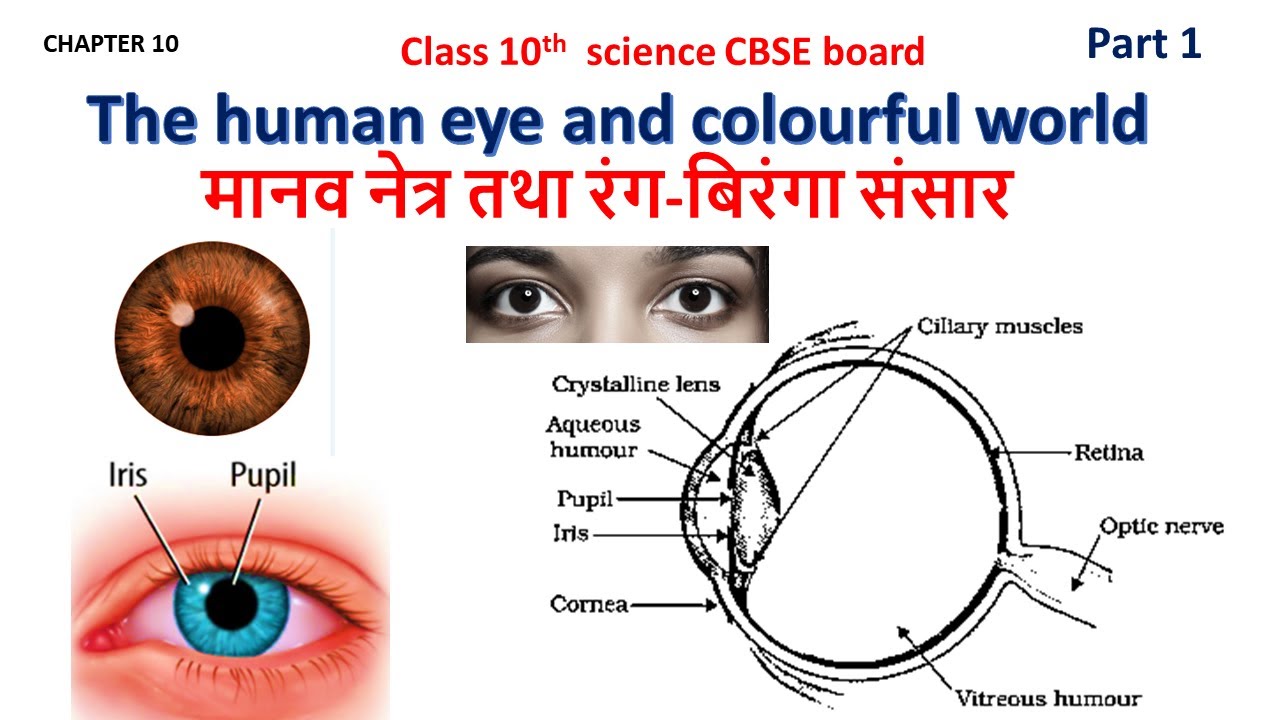 part 1, the humane eye and colourful world, chapter 10, class 10th CBSE ...