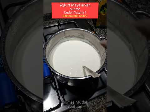 Yoğurt Neden Süner? Bakteriyofaj Nedir? ✅NELERE DİKKAT EDİLMELİDİR?