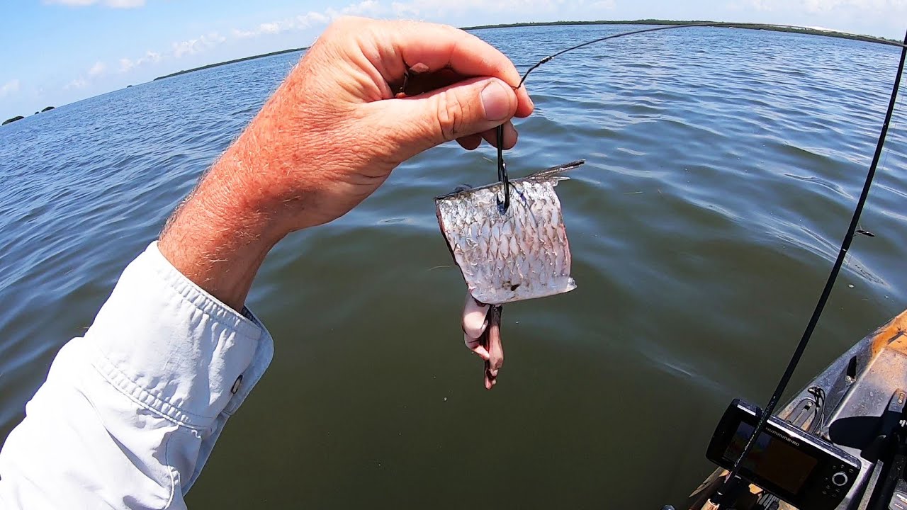 Big Bait Catches Big Fish And Broken Rod! - YouTube