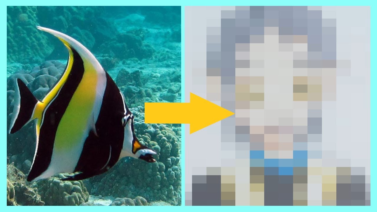 Turning fish into an anime girl - YouTube