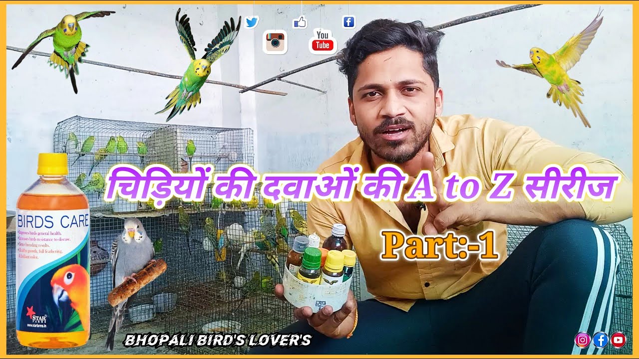 Birds 🐦 Medicine 💊 Series Part:-1 - YouTube