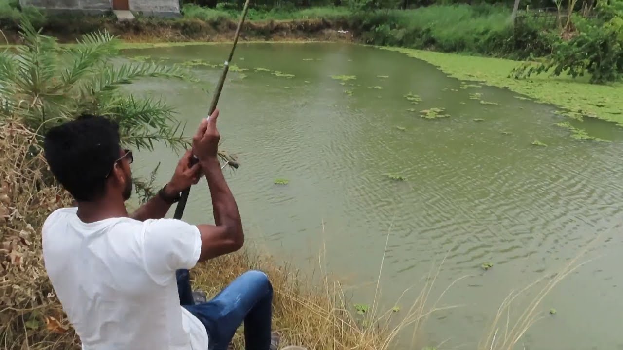 Village Rod Fishing by Fish Spark in Cloudy Wind - YouTube
