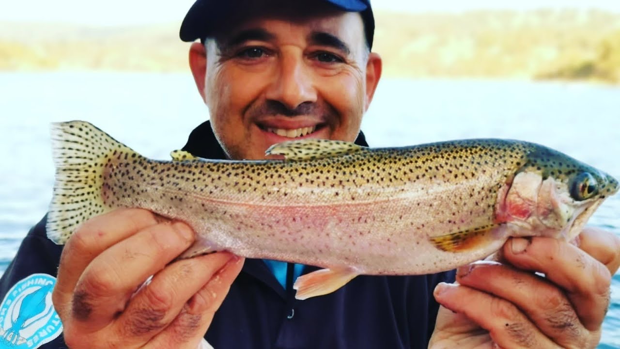 EASY FISHING FOR TROUT DELICIOUSLY COOKED FOR DINNER - YouTube