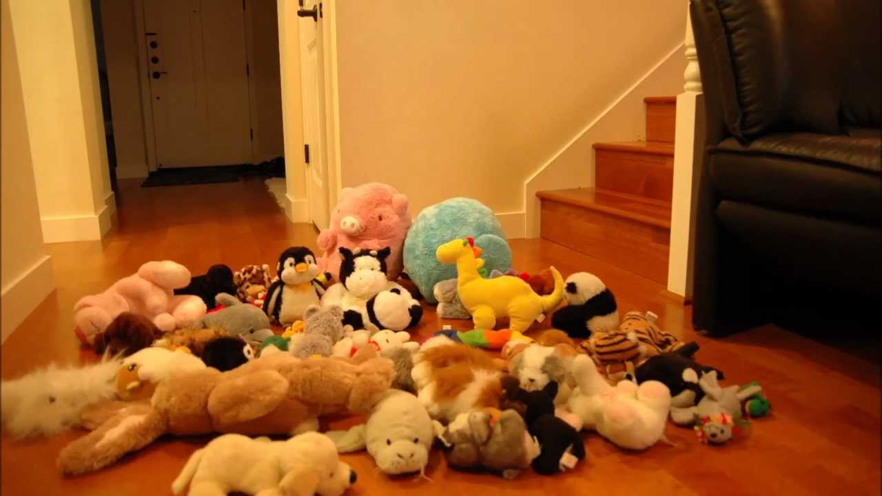 Stuffed Animal Harlem Shake - YouTube