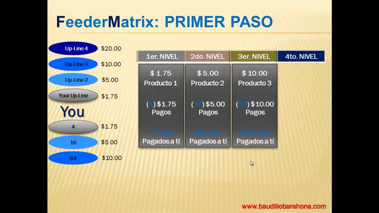 Feeder Matrix Presentación en español - YouTube