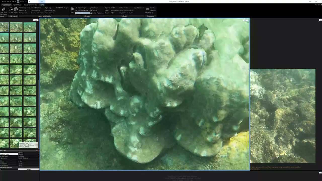 Hawai'i Coral Photogrammetry Process - YouTube